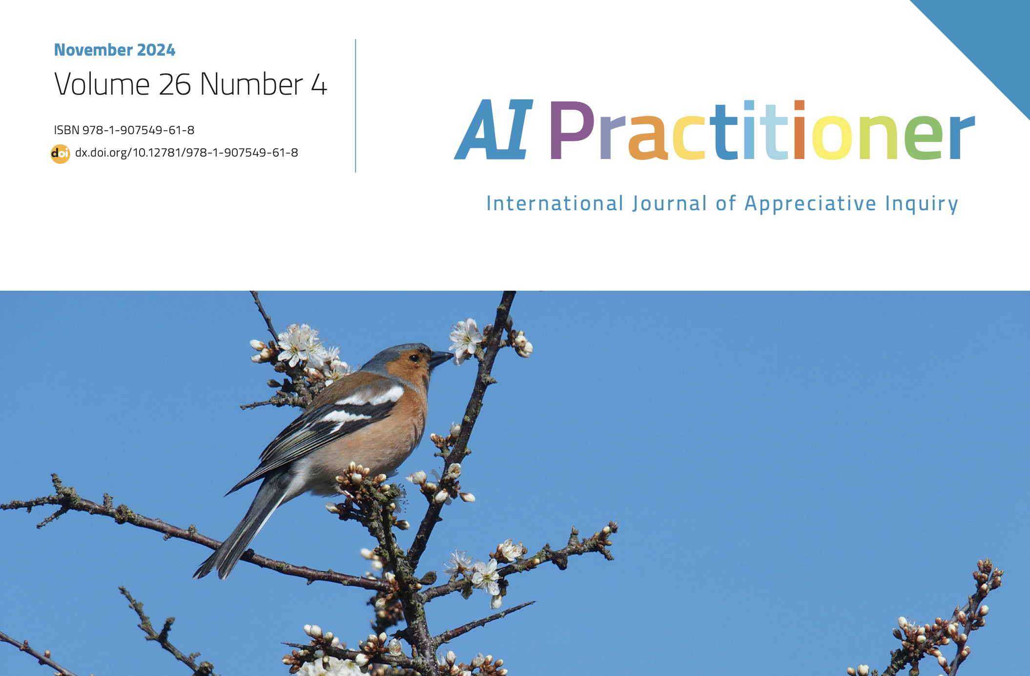 Appreciative Inquiry at Champlain College AIP Webinar: Naturalising AI - Appreciative Inquiry at ...